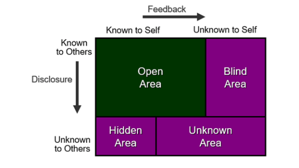 Using the Johari Window for Unveiling the Hidden Potential in Digital ...